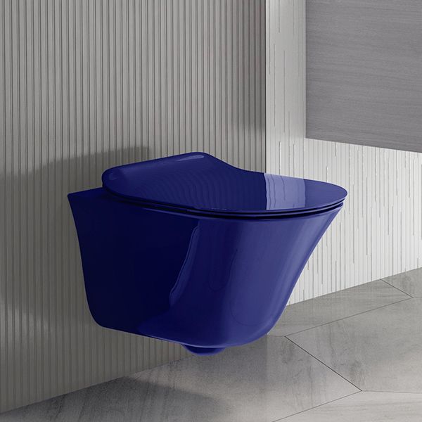 Buy Vive wall hung toilet bundle in Indigo K-26998IN-DGS Online at ...